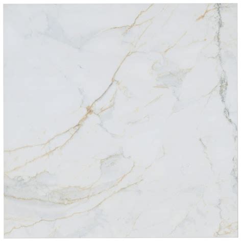Pisa Gold Polished Porcelain Wall And Floor Tile 24 X 24 In The