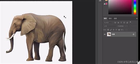 套索工具组 快速选择工具组(ps尚硅谷学习)磁性套索快速选择 Csdn博客 套索工具组 快速选择工具组(ps尚硅谷学习)磁性套索快速选择 Csdn博客