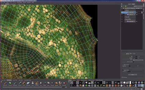 Autodesk Mudbox 2015 Tips And Tricks