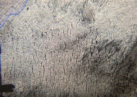 Girth Weld Cracking Threats Engineer Live