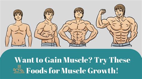Want To Gain Muscle Try These Foods For Muscle Growth Medy Life