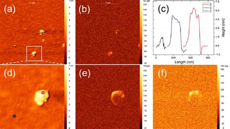Dart Pfm Analysis Of Mos Exfoliated A Contact Mode Topography B