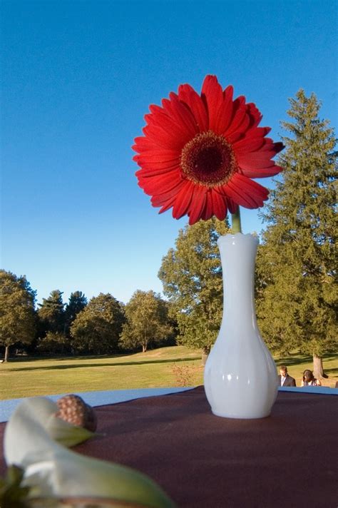 Milk Glass Bud Vase With Gerber Daisy