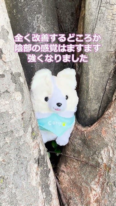 持続性性喚起症候群③ Youtube