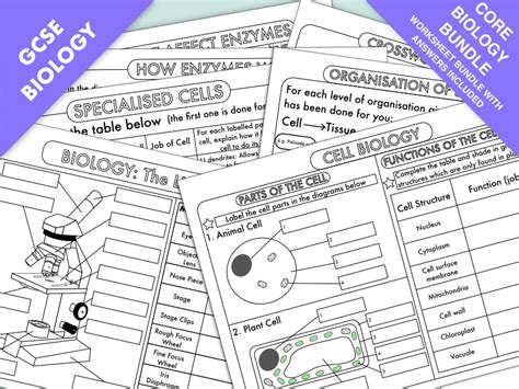 Gcse Biology Core Topics Worksheet Bundle Teaching Resources