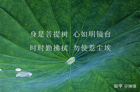 邪淫危害知多少一名20岁女孩的痛苦自述希望我的经历能让你早日醒悟 知乎