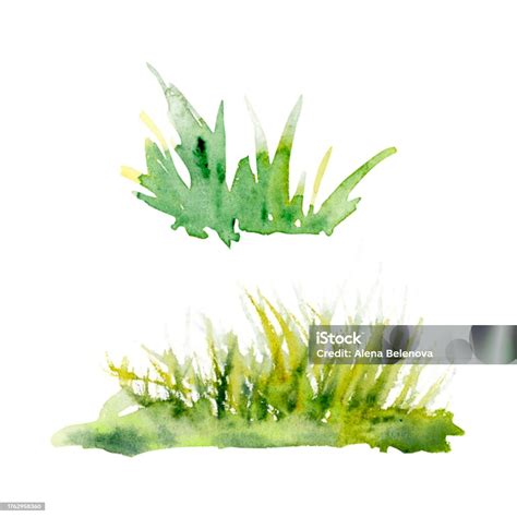 수채화 Aquarelle 그리기 세트 공원 잔디 잔디밭 어둡고 밝은 초록색 흰색 배경에 고립된 Scillfully 그려진 그림입니다 월페이퍼 로고 배너 아이콘 카드 수채화에