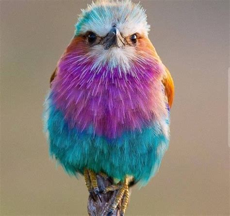 22 Photos Of Real Objects And Phenomena That Look Like Fake And