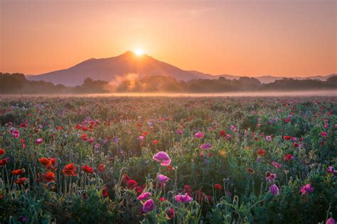 日本全国の美しすぎる絶景パワースポット10選【国内旅行】｜zekkei Japan