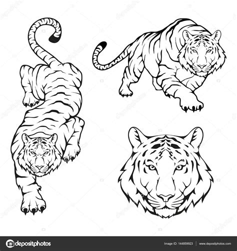 Tiger Logo Template — Stock Vector © Korniakovstock 144859923