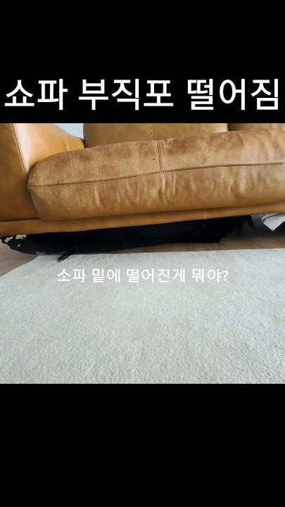 쇼파 밑에 부직포도 교체 하는거였어쇼파수리 소파수리 쇼파복원 Youtube