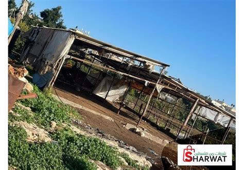 بركس للبيع اعلانات عامة قلقيلية شروات من فلسطين