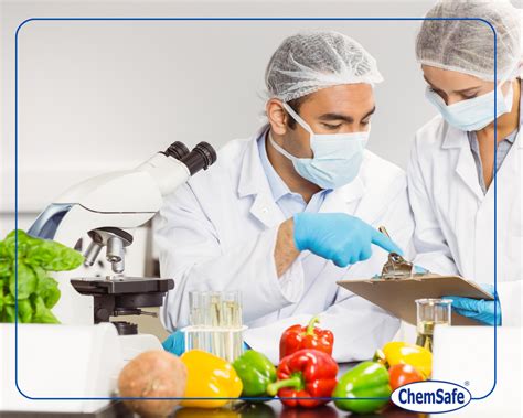 Microorganisms In Food Production A New Trend Chemsafe