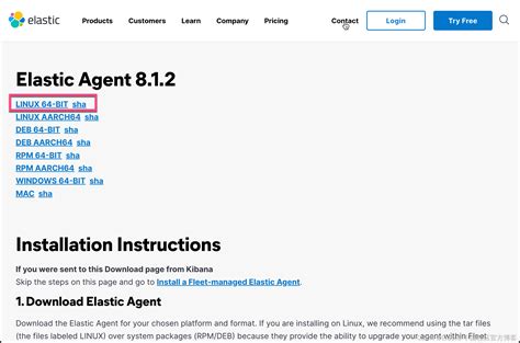 Observability：在生产环境中配置 Fleet Server 和 Elastic Agent 之间的安全 Csdn博客