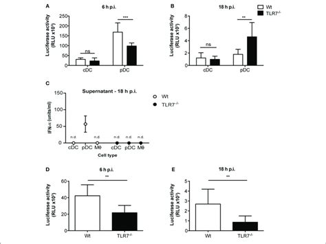 Tlr7 Is Required For Efficient Vsv Replication In Bm Derived Pdc And