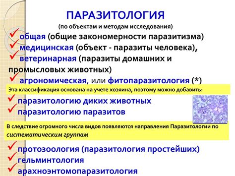 Паразитология - презентация онлайн