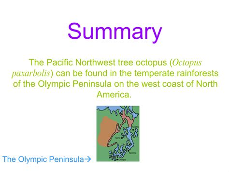 Tree Octopus PPT