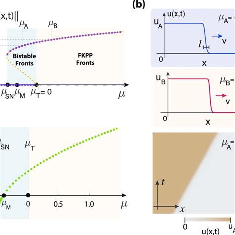 Front Solutions Of The Forced Bistable Model Equation 1 For β 05