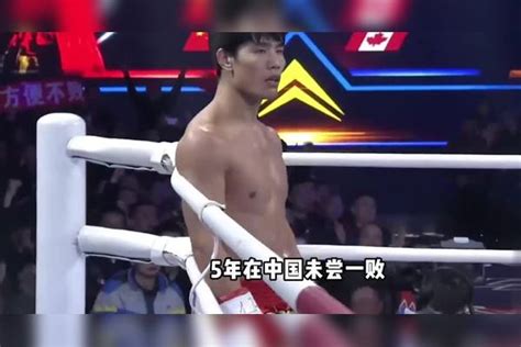 加拿大拳王统治中国拳坛！方便上台迎战三拳ko，主持人激动痛哭拳坛统治中国