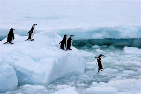 how to save your linux desktop settings in case something goes wrong