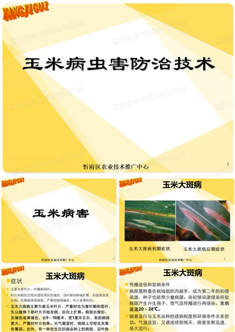 玉米病虫害ppt模板下载编号lryeazaq熊猫办公