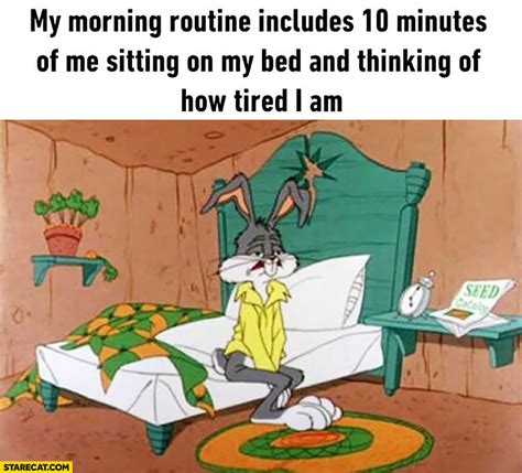 My Morning Routine Includes 10 Minutes Of Me Sitting On My Bed And