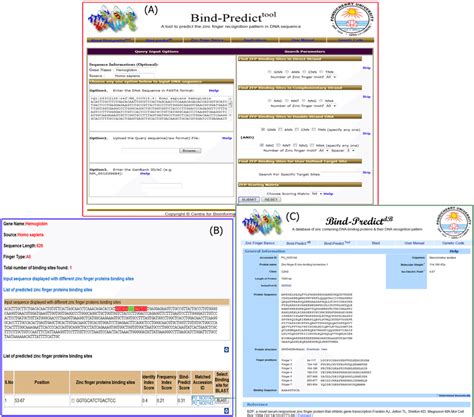 Bind Predict Tool Web Interface For Finding ZFP Binding Sites In Double Download Scientific