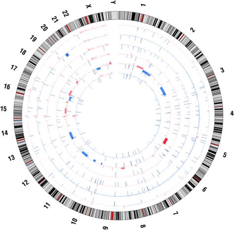 Circos Plot Of Affymetrix Snp Array Analysis Performed On The Bin 67 Download High