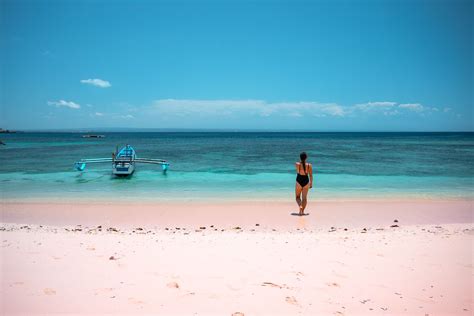How To Visit Lomboks Pink Beach Pentai Tangsi