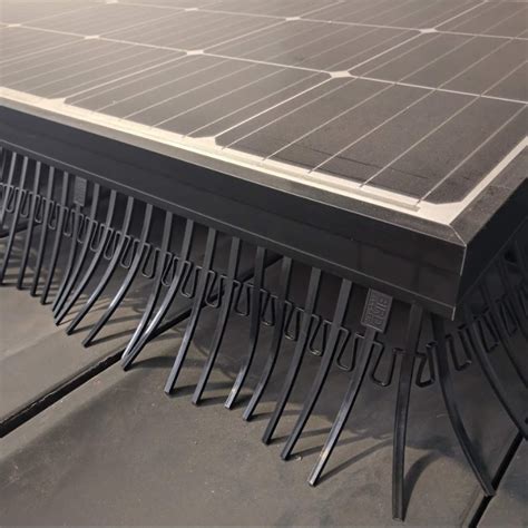Bird Protection For Solar Panels Solar Panels Northampton