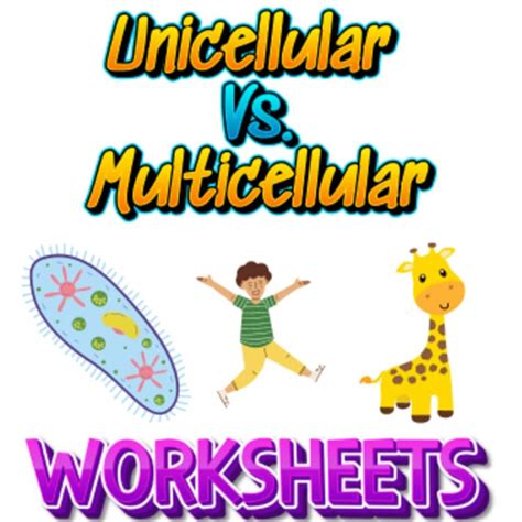 Unicellular Vs Multicellular Worksheets Ngss By Edumagnet Tpt