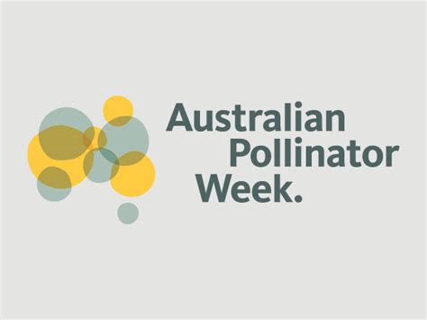 Australian Pollinator Week The Wheen Bee Foundation