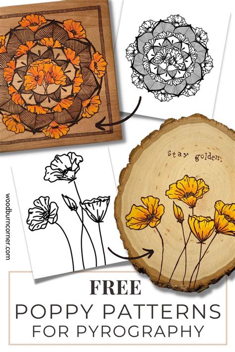 Free Poppy Patterns For Tracing And Burning Poppies Pyrography