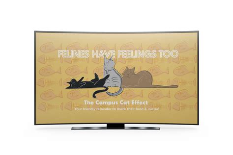 The Campus Cat Effect Behance