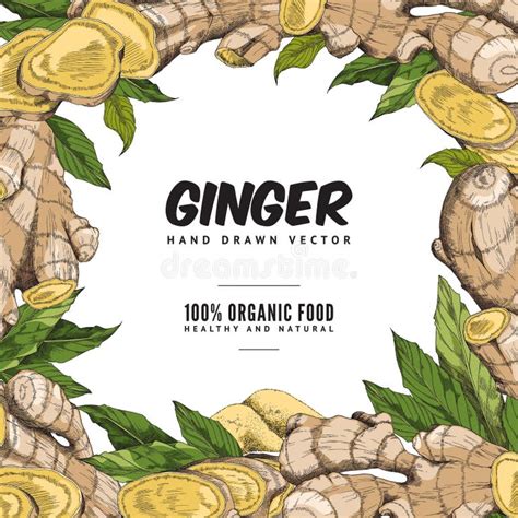 Ginger Powder Label Stock Illustrations 156 Ginger Powder Label Stock Illustrations Vectors