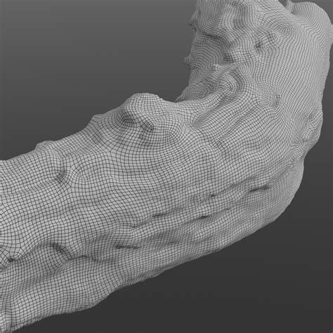 Tree Log Model Turbosquid 1177984