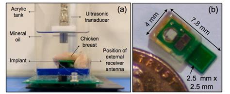 Nanochip Technology