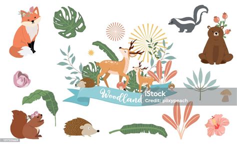 คอลเลกชันวัตถุป่าน่ารักกับหมี นกฮูก สุนัขจิ้งจอก สกั๊งค์ เห็ดและใบของ