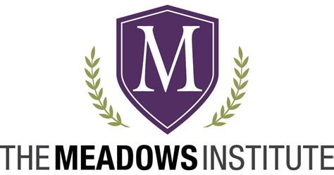 Meadows Behavioral Healthcare Launches The Meadows Institute
