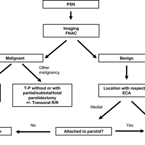 Algorithm For The Selection Of The Appropriate Surgical Approach In The