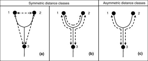 Symmetric And Asymmetric Distance Classes The Stream Network Is