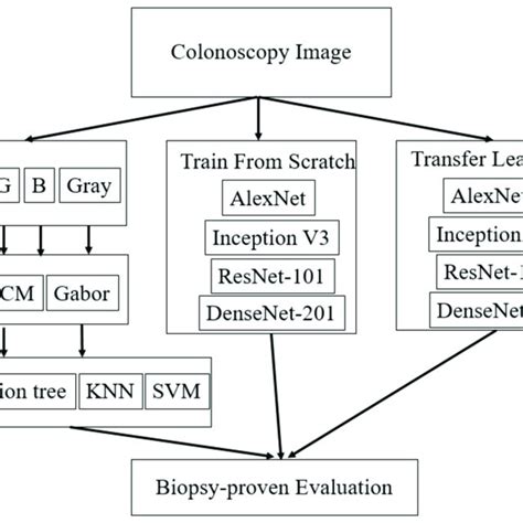 The Flowchart Of The Polyp Classification Using Colonoscopy Image