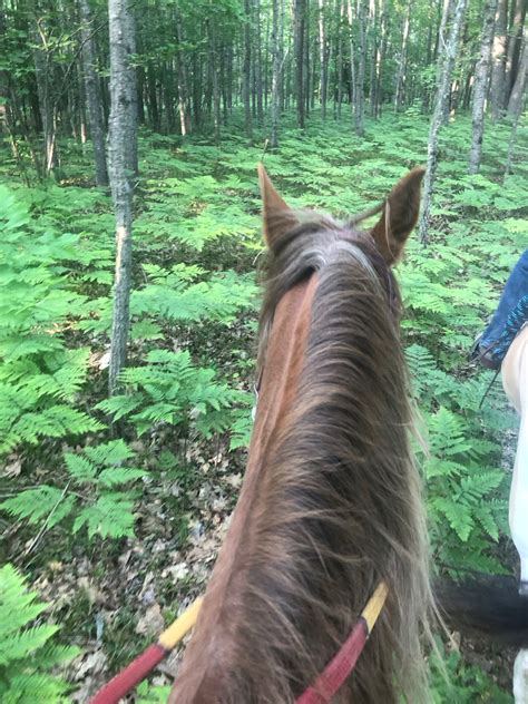Ryan Hulst On Linkedin Worklifebalance Reininglibertyranch
