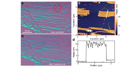 A Te Exfoliated On A Si Sio2 Substrate Imaged Immediately After Download Scientific Diagram