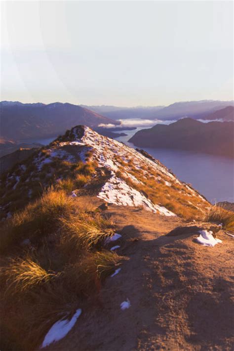 New Zealand Inspired Web Design Woodswork Showcasing Nz