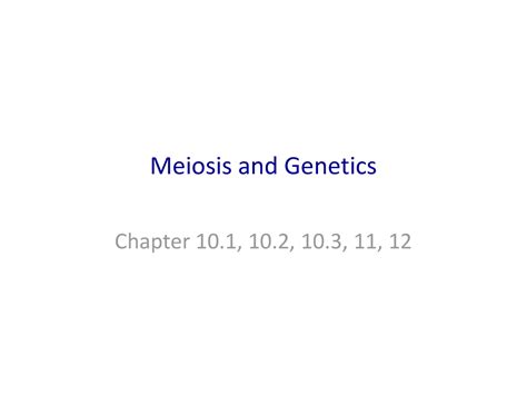 Lecture Slides Lectures 15 Meiosis And Genetics Meiosis And