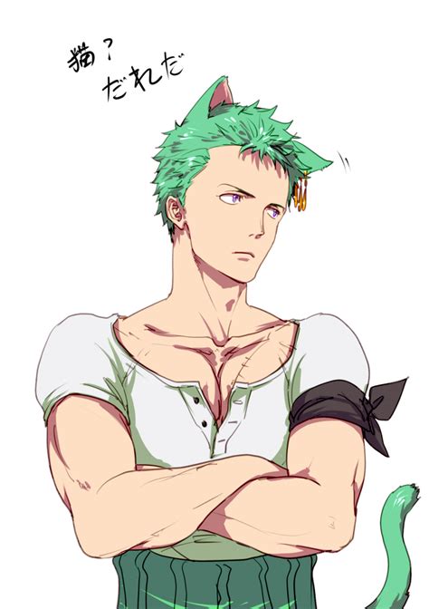 Roronoa Zoro One Piece Drawn By Eilinna Danbooru
