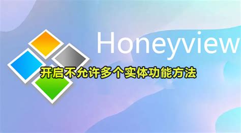 Honeyview怎么开启不允许多个实体功能 开启不允许多个实体的方法 59系统乐园