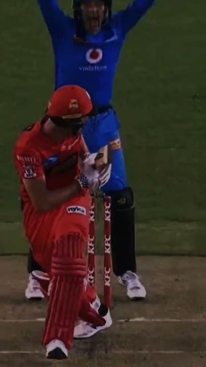 Viralshort Cricket Viral Funny 😂 Cricket Funnycricket Shorts