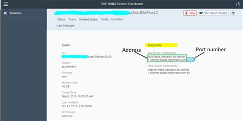 Connecting To Sap Hana Service From Anywhere Sap Community